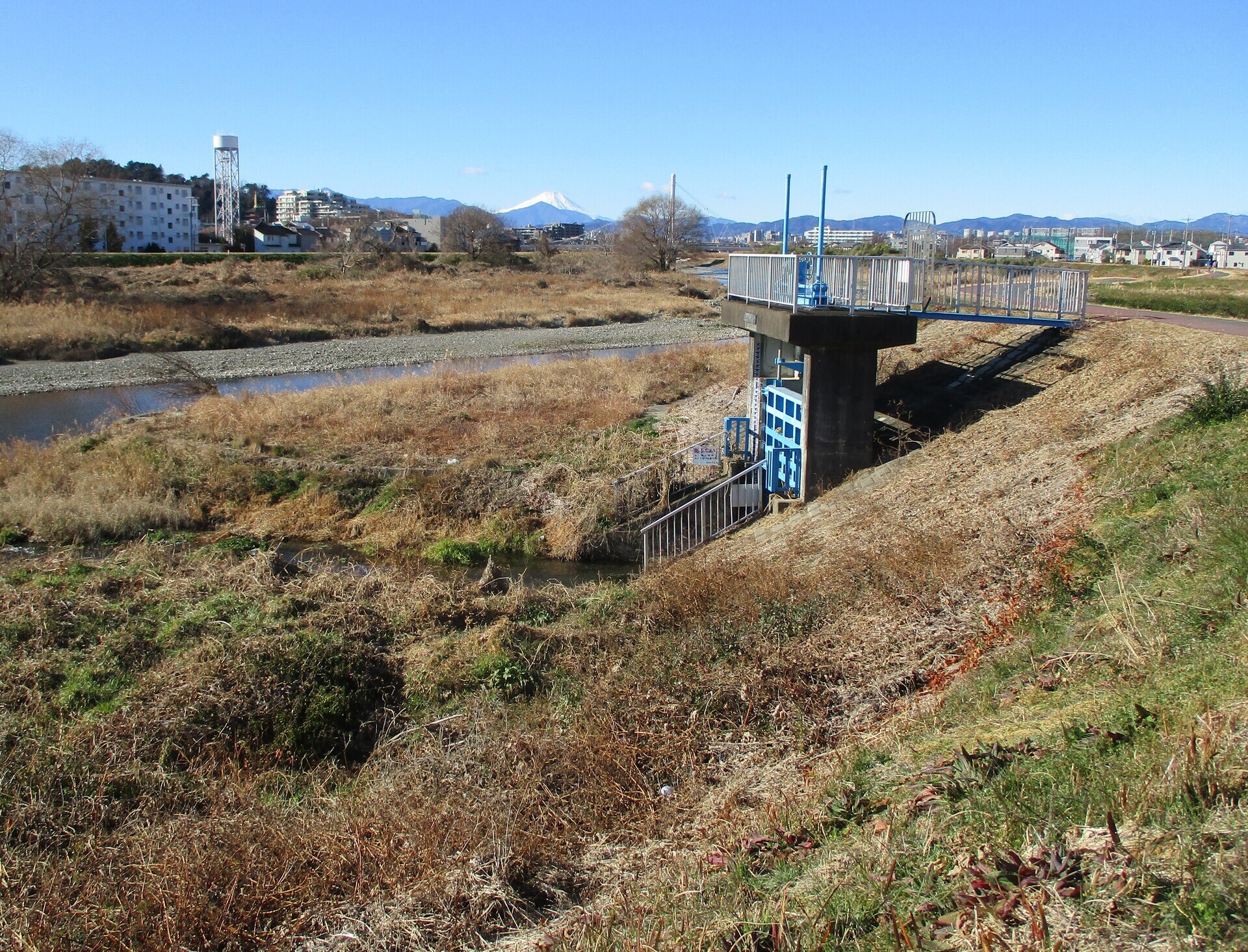 福の散歩と浅川野外観察手帳